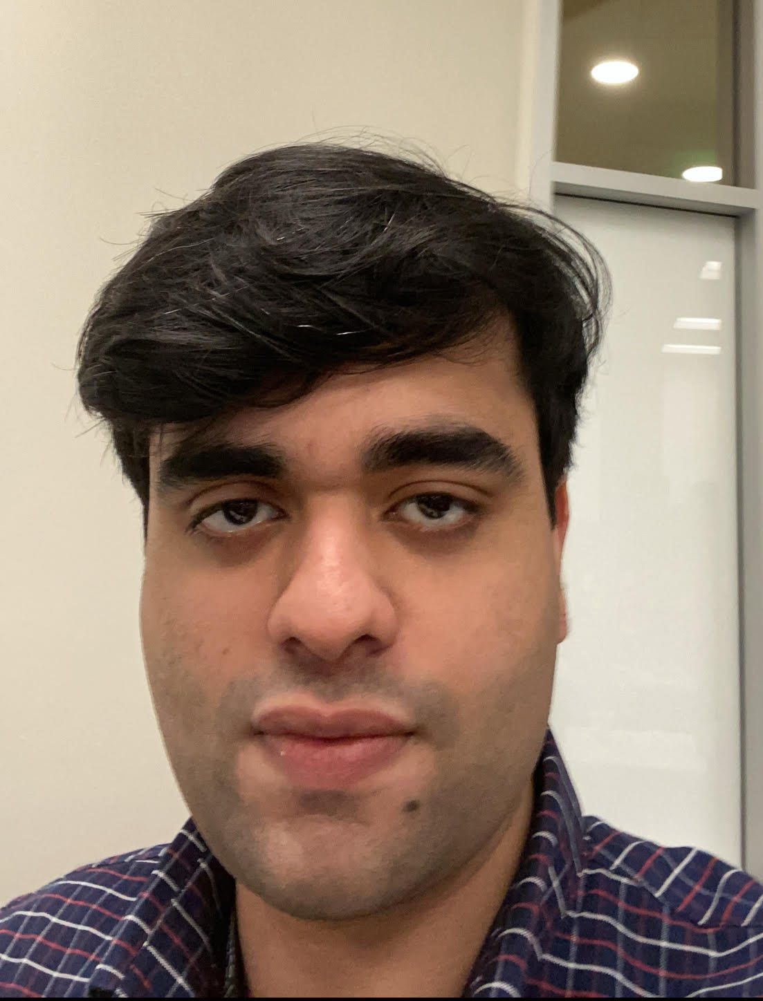 Punit Khanolkar | Business Analyst